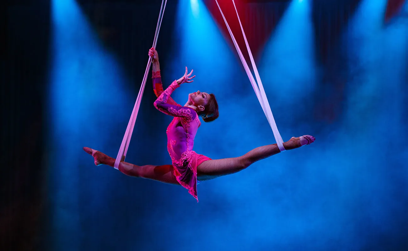 Cirque du Soleil - Mystere Tickets at Mystere Theatre At Treasure ...
