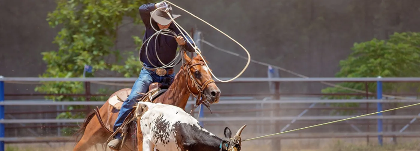 National Finals Rodeo Tickets | VegasTickets.com